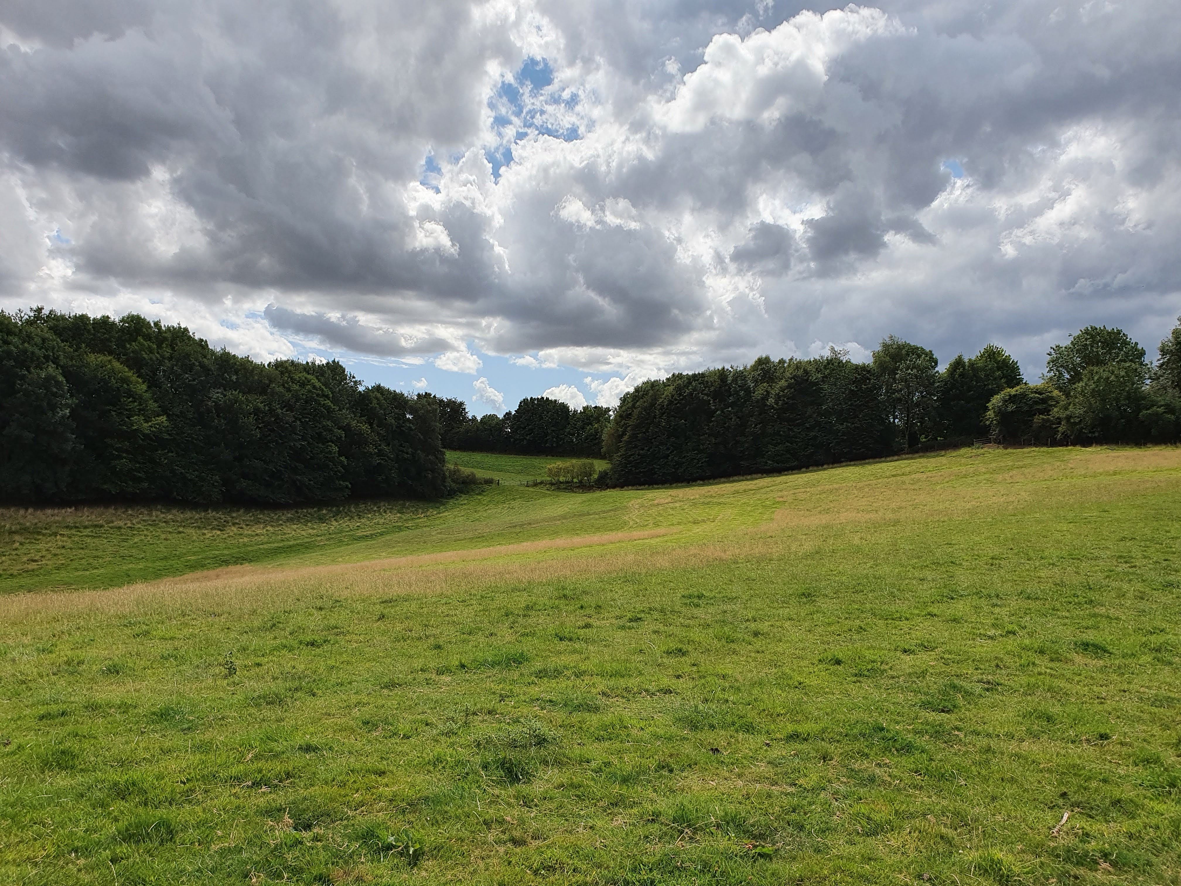 Leys Farm - Swerford, Chipping Norton OX7 4BQ, UK - Field Lover