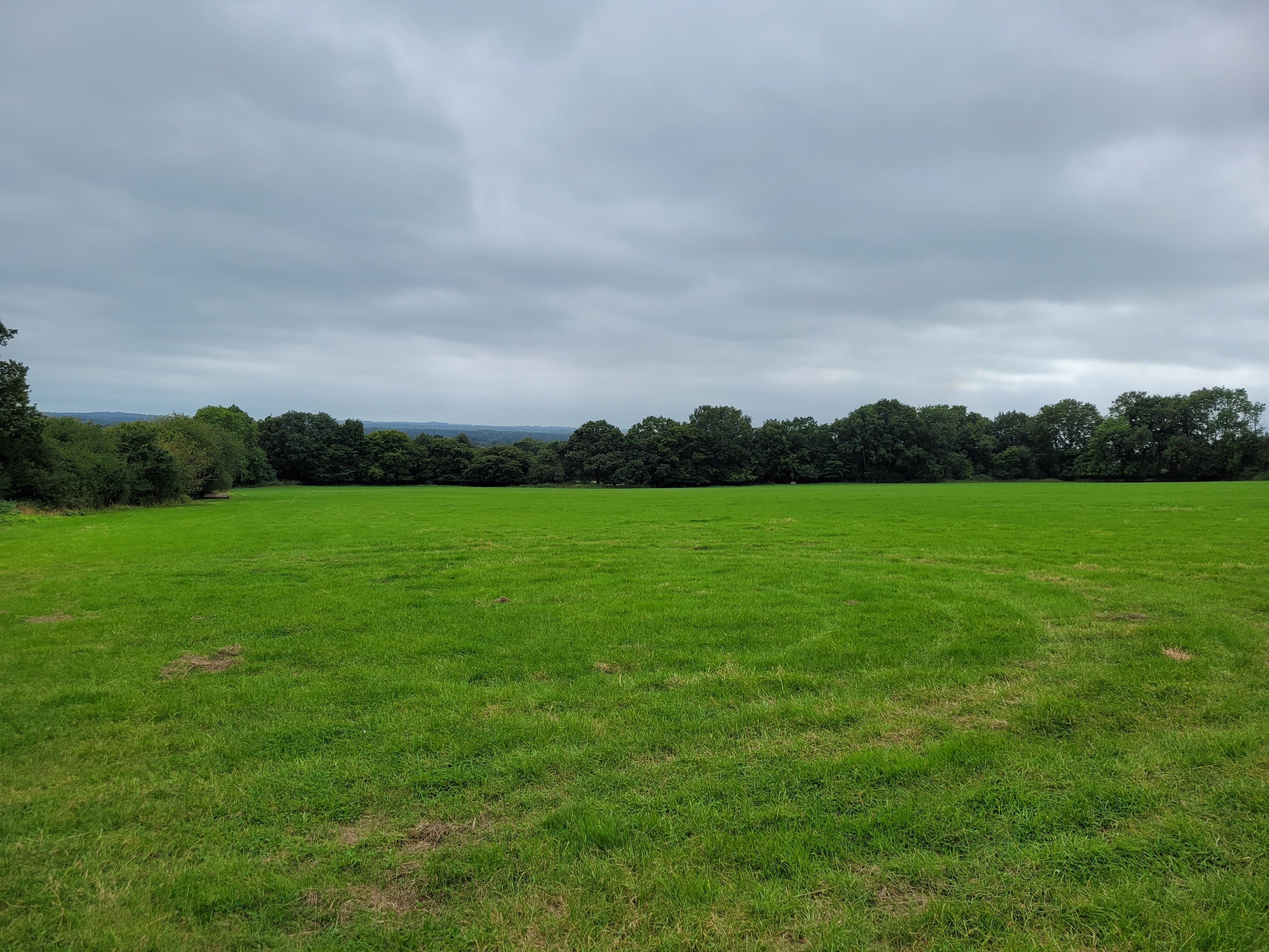 Osney Lodge Farm - South Godstone, UK - Field Lover