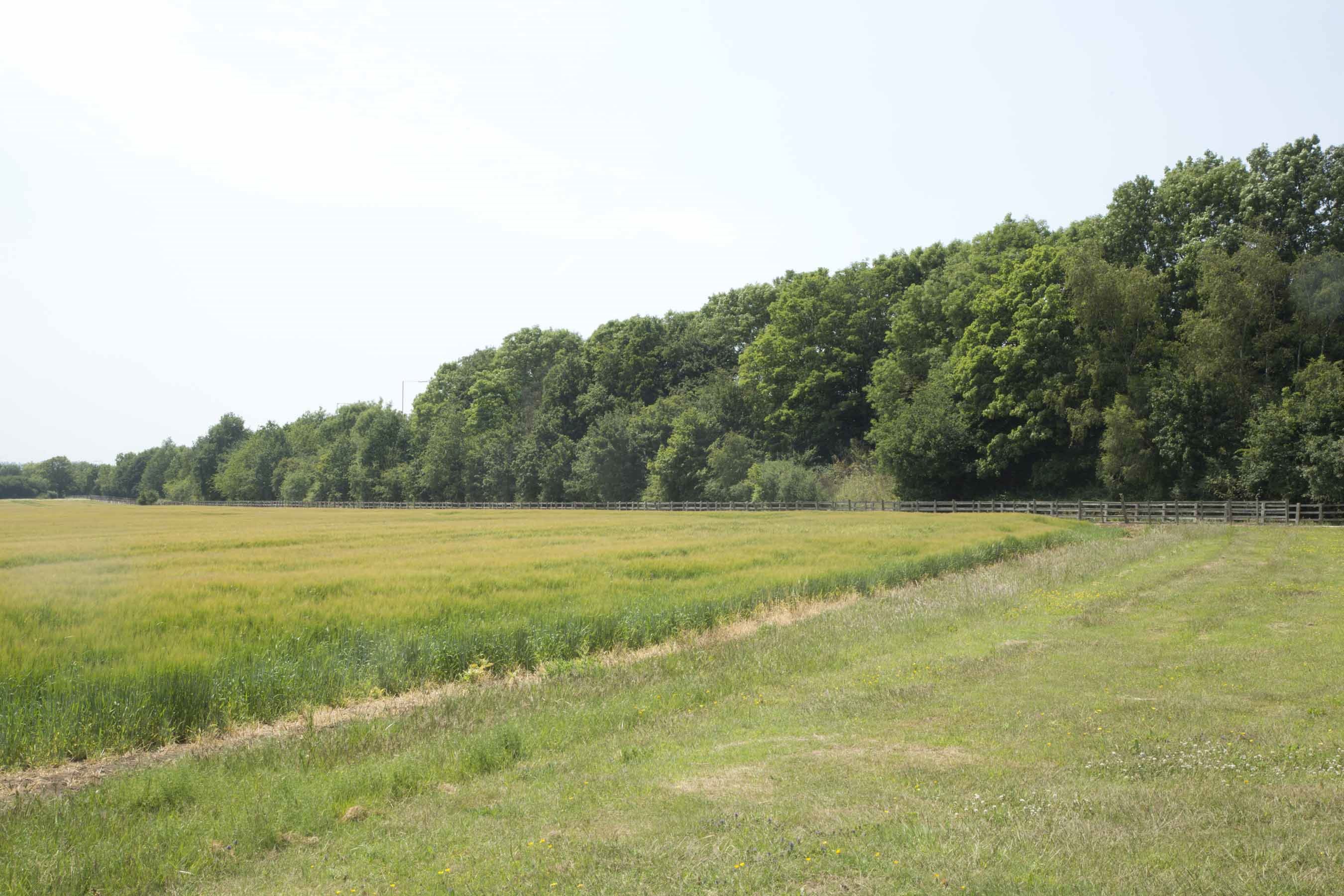 Medow House 6 acres - West Horndon, Brentwood, Essex, United Kingdom ...