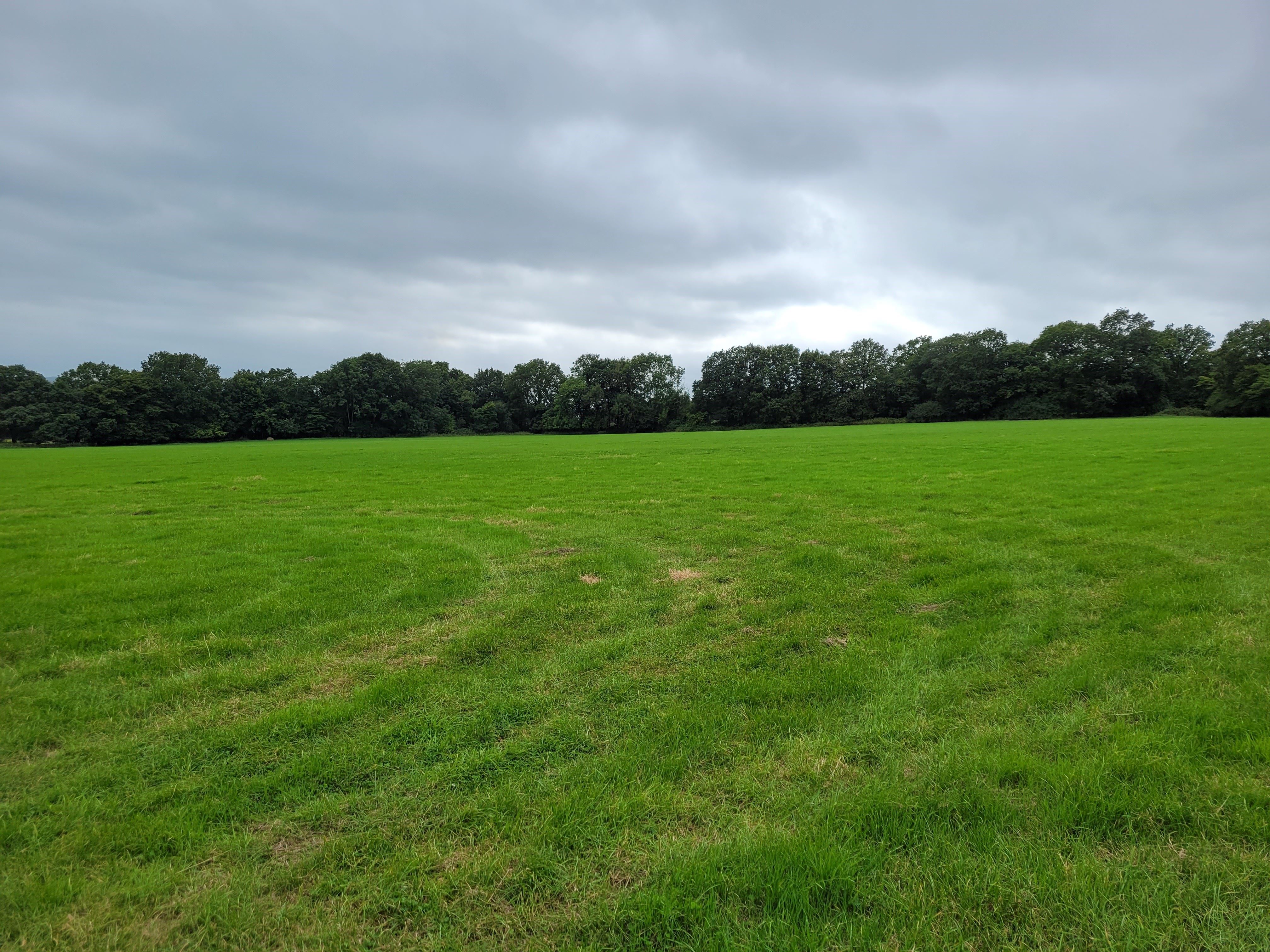 Osney Lodge Farm - South Godstone, UK - Field Lover