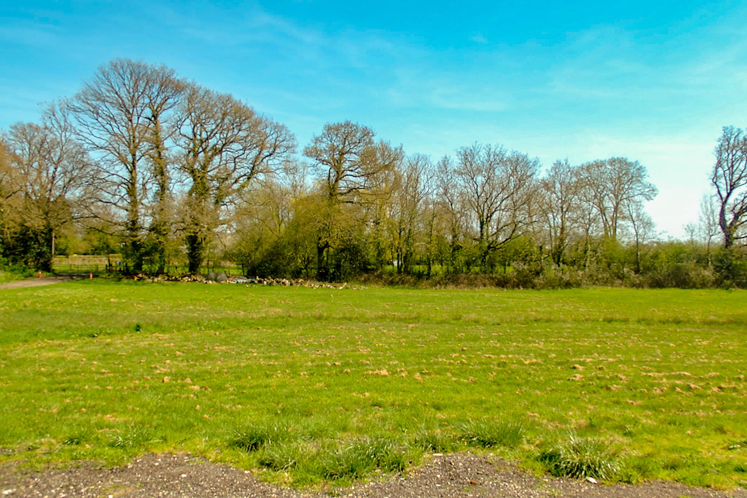 Meadow tree farm - Sherfield English, Romsey, UK - Field Lover