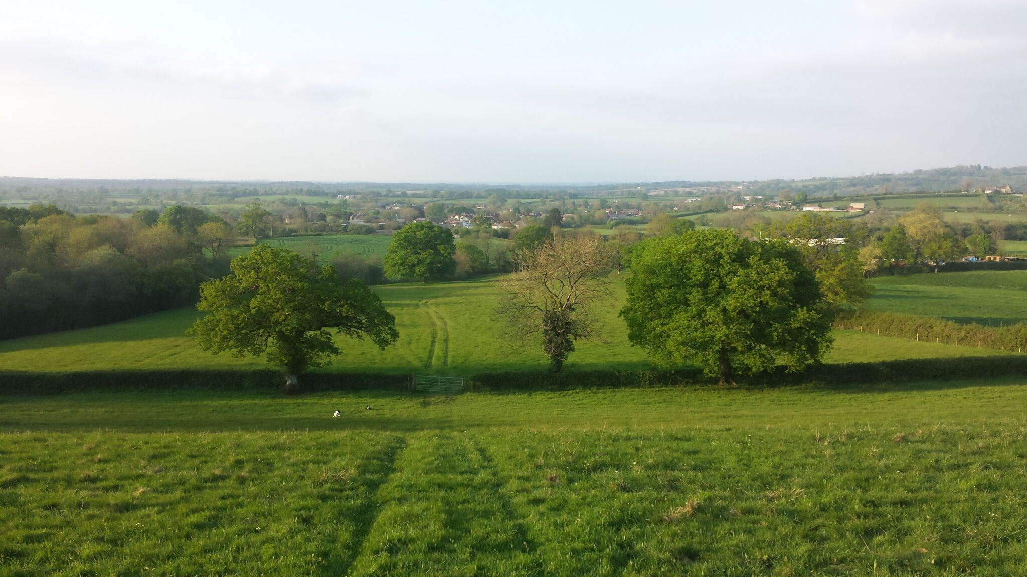 Field 725 Camping - Frome, UK - Field Lover